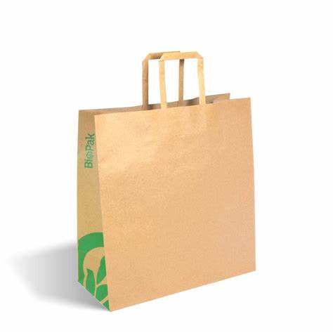 BioPak Small Flat Handle Kraft Paper Bags Ctn 250 Carry Bag - KC Supplies