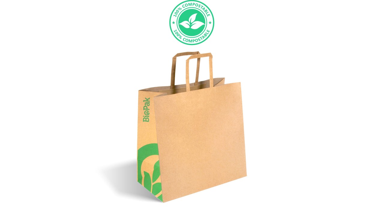 BioPak Small Flat Handle Kraft Paper Bags Ctn 250 Carry Bag - KC Supplies