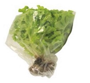 Food Packaging Archives - KC Supplies
